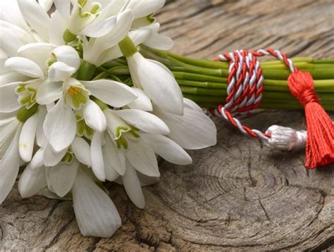 Mărțișoare Din Mărgele Termoadezive Cu Modele De Buburuze Trifoi Vulpi Sau înghețată