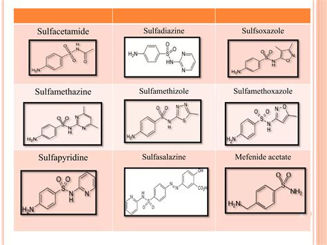1sulphonamide Pptx