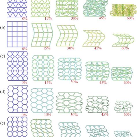 Deformation Of The Finite Element Simulation Of Different Multicellular