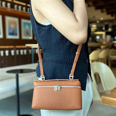 Hmz 04br Brown Dalas Mini Shoulder And Crossbody Bag When Classy Meets Classic
