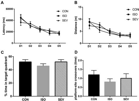 Spatial Learning And Memory Of Rats N 15 In Each Group Were Download Scientific Diagram
