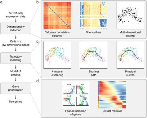 Scorpius Improves Trajectory Inference And Identifies Novel Modules In