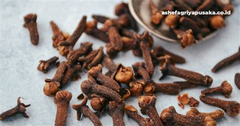 Codikaf Manfaat Dan Efek Samping Ashefa Griya Pusaka