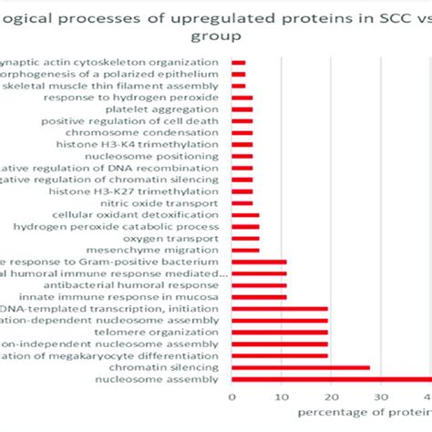 Classification Ofbiological Processes Of Upregulated Proteins In The