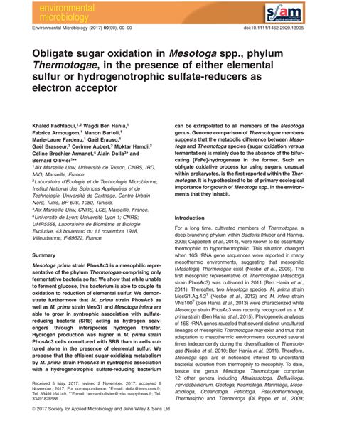 Pdf Obligate Sugar Oxidation In Mesotoga Spp Phylum Thermotogae In