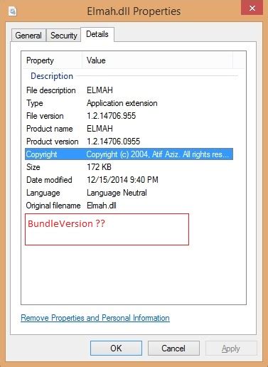 C Best Practice Bundle Product Versioning Assembly Info Stack