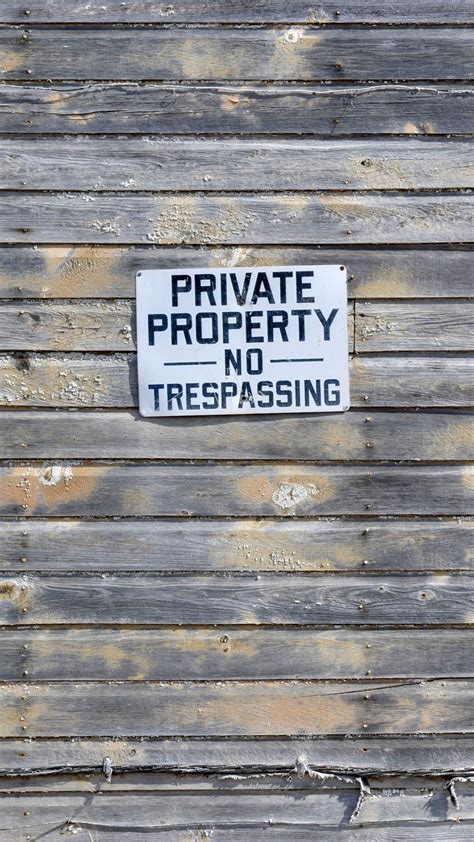 Squatters California