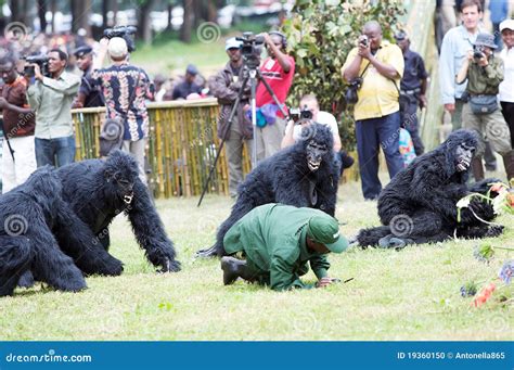 Kwita Izina Ceremony Editorial Image Image Of Event 19360150
