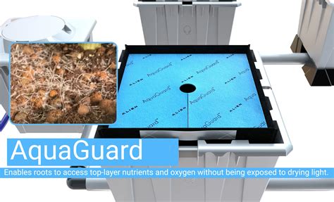 Flood And Drain Hydroponic Systems Hydroponic Systems Different