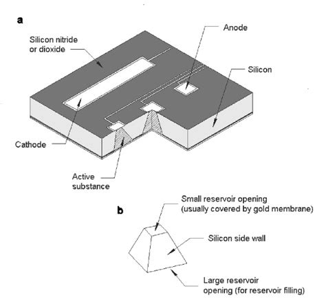 A Prototype Microchip For Controlled Release Showing The Shape Of A