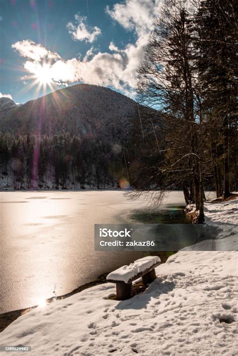 화창한 오후에 푸신의 냉동 호수 프리울리 베네치아 줄리아 이탈리아 0명에 대한 스톡 사진 및 기타 이미지 0명 가을 겨울 Istock