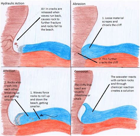 Processes Coasts