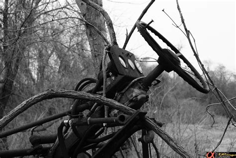 Dsc05654 Robert Stringer Flickr