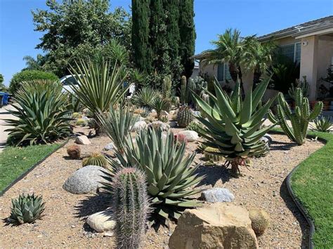 25 Xeriscape Ideas For Your Yard Trendey Backyard Xeriscape Ideas