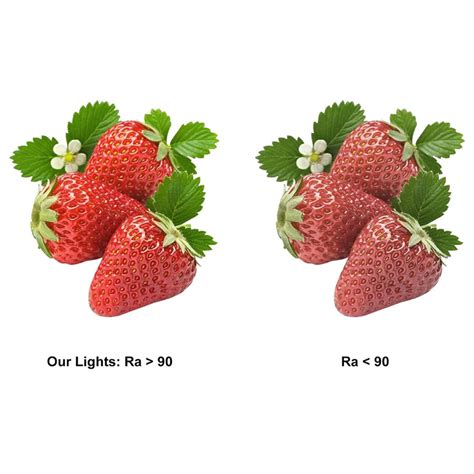 24v 5w Seamless Led Tape 2400k Warm White Flexible And Cuttable In