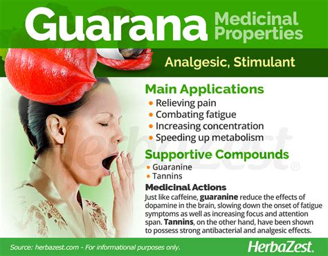 Guarana Herbazest