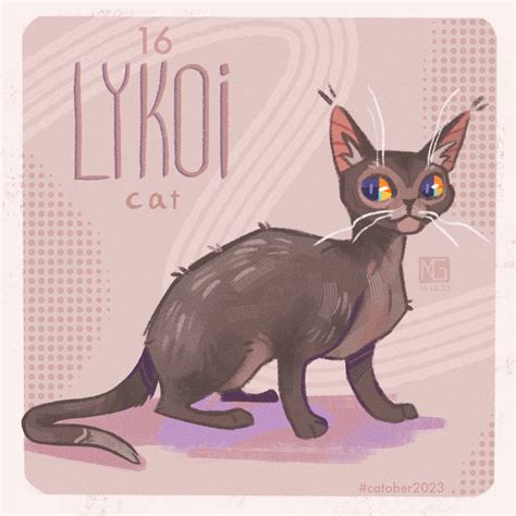 Catober Day 16 Lykoi Cat By Lavapaws On Deviantart