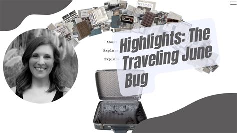 S4e3 Highlights Steph Bradley Youtube