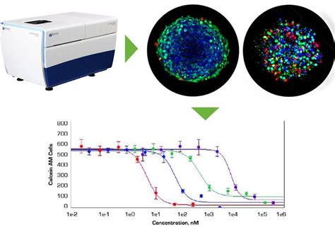High Throughput Confocal Imaging Of Spheroids For Screening Cancer