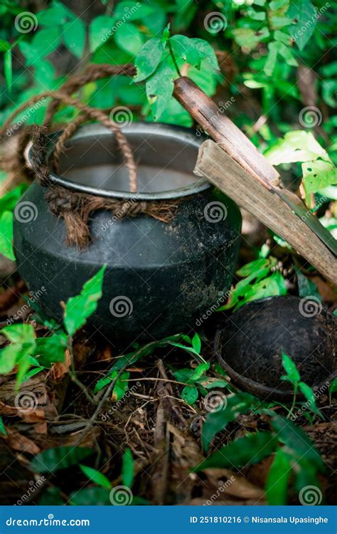 Kitul Potsri Lankan Naturel Foto De Stock Imagem De Deleite Nave