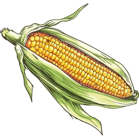 Corn On The Cob Clipart 49502119 Png