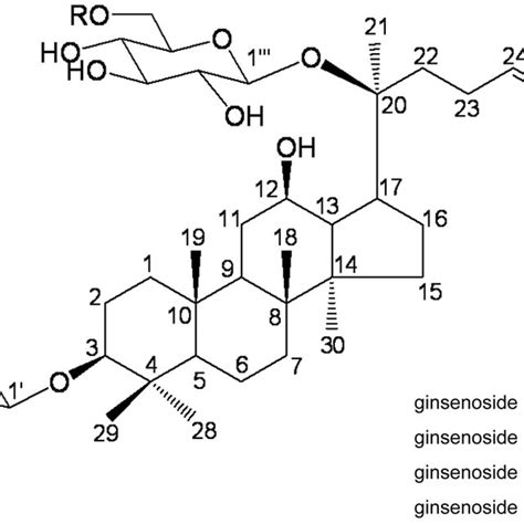 Pdf Physicochemical Characterization And Nmr Assignments Of