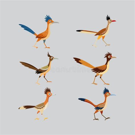 Roadrunner Illustration Stock Illustrations 164 Roadrunner