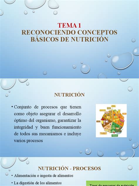 Conceptos Básicos De Nutrición Pdf Nutrición Dieta Y Nutrición