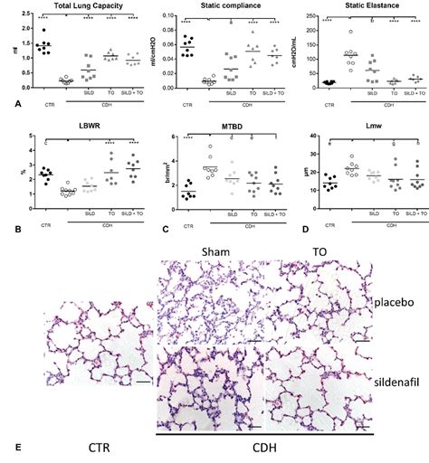 Figure 2 From Complementary Effect Of Maternal Sildenafil And Fetal