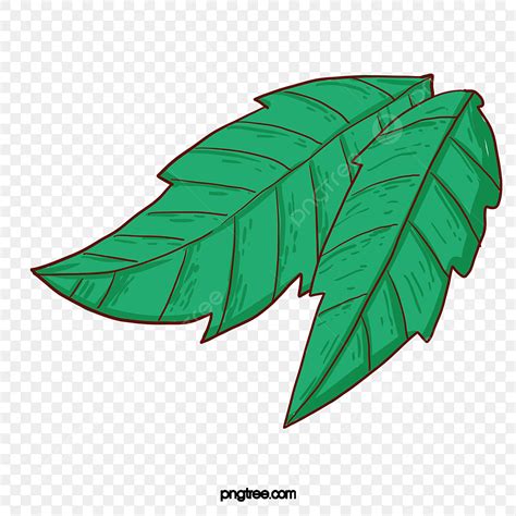 Green Leaf Outline Png