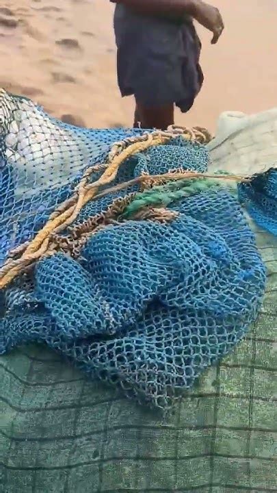 Vala Chepalu Bechi Youtube