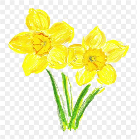 Png Oil Pastel Daffodils Flower Free Png Rawpixel