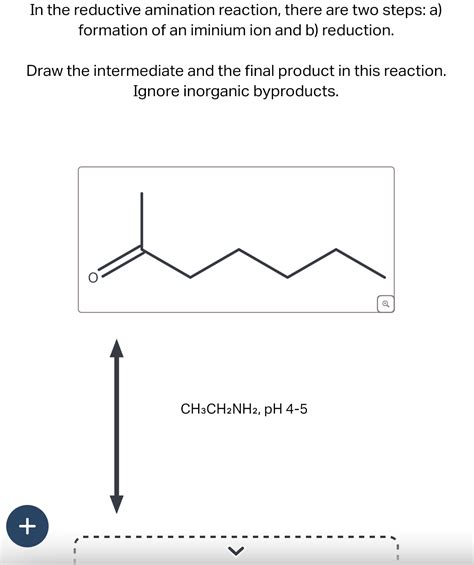 Solved In ﻿the Reductive Amination Reaction There Are Two