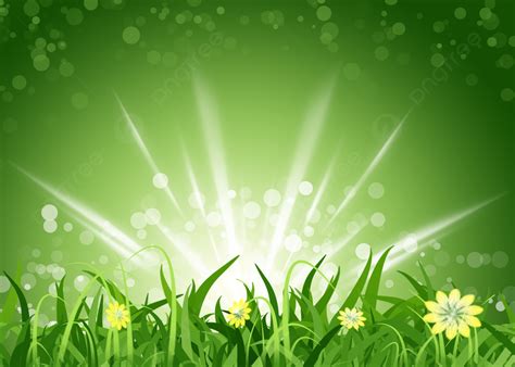 Easter Grass Green Rays Background Grass Easter Spring Background