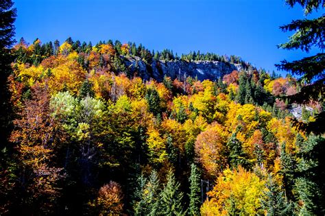 Juniku Vërtet Unik Added A New Photo Juniku Vërtet Unik