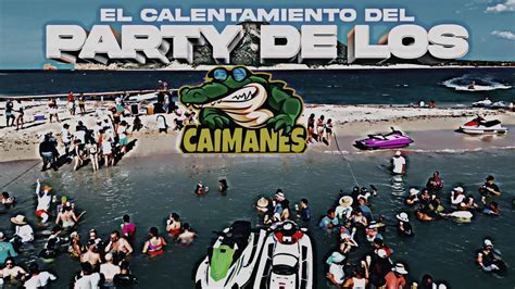 Preparándonos Para El Party De Los Caimanes ¡el Calentamiento En La Isla Cabra 4 1nov 2023