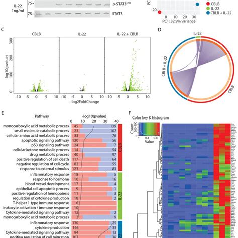 Daniel Candinas Head Of Department Universität Bern Bern Unibe