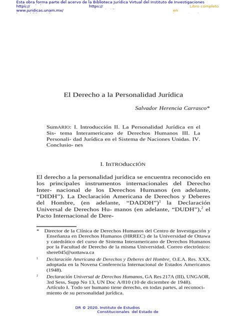 Derecho A La Personalidad Jurídica Pdf Estado Política Derechos