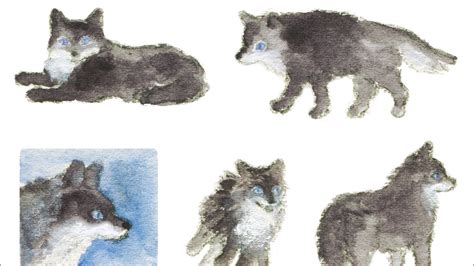 은민드로잉 까망늑대 그리기 Youtube