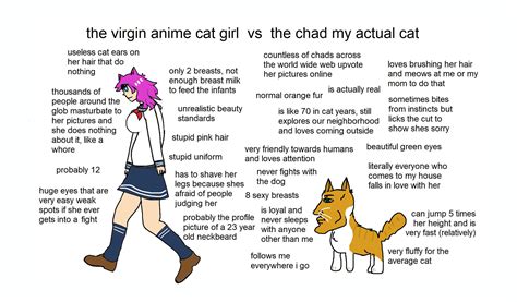The Virgin Anime Cat Girl Vs The Chad My Actual Cat Rvirginvschad