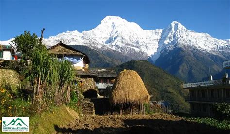 20 Best Easy Treks In Nepal For Beginners In 2026