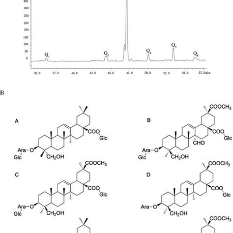 A Liquid Phase Map Of Saponins In Chenopodium Quinoa Husks B A Download Scientific