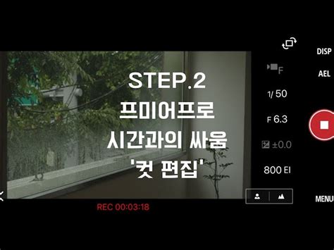 영상감독이 알려주는 프리미어 프로 기초 컷편집 방법 [step2 in and out 편집]