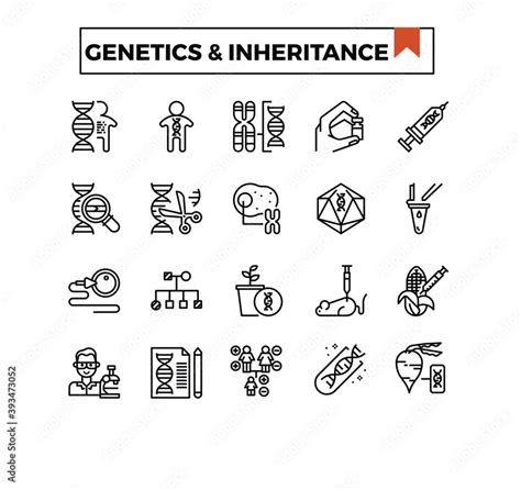 Genetics And Inheritance Icon Set Stock Vector Adobe Stock