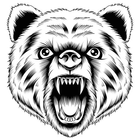 Bear Head Vector Illustration 23368318 Vector Art At Vecteezy