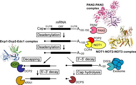 Research Jonas Lab Eth Zurich