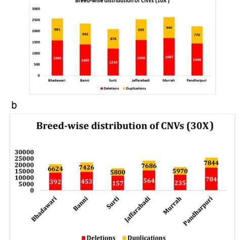 A Cnv Distribution Of Six Buffalo Breeds Using A Read Depth Based