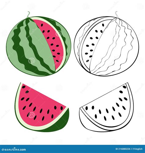 Trozos De Sandías Cortadas Ilustración Del Vector Ilustración De Fondo