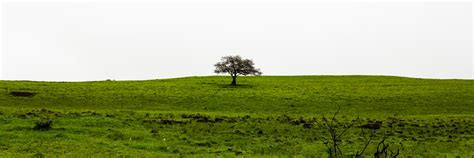 Samhan Me On Bluesky