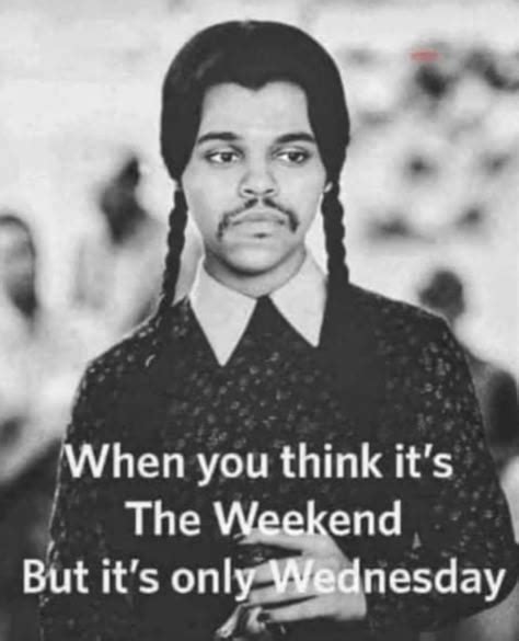 30 Hump Day Memes For That Midweek Mood Funny Wednesday Memes Happy